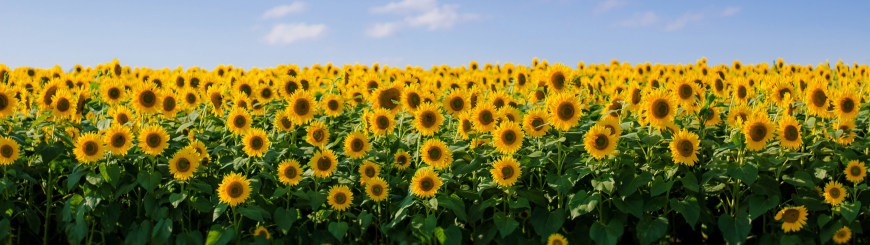 4K双屏壁纸,4K高清图片3840x1080_4K桌面壁纸