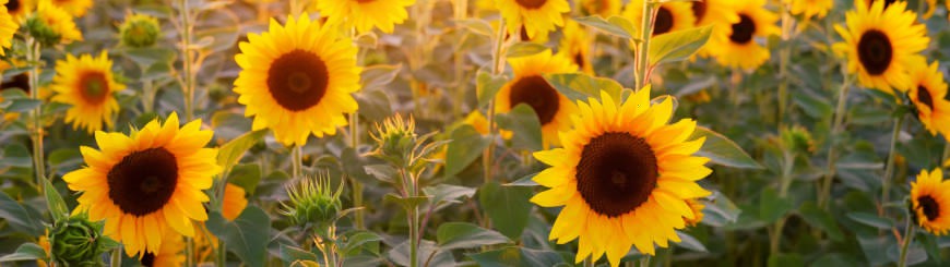 4K双屏壁纸,4K高清图片3840x1080_4K桌面壁纸