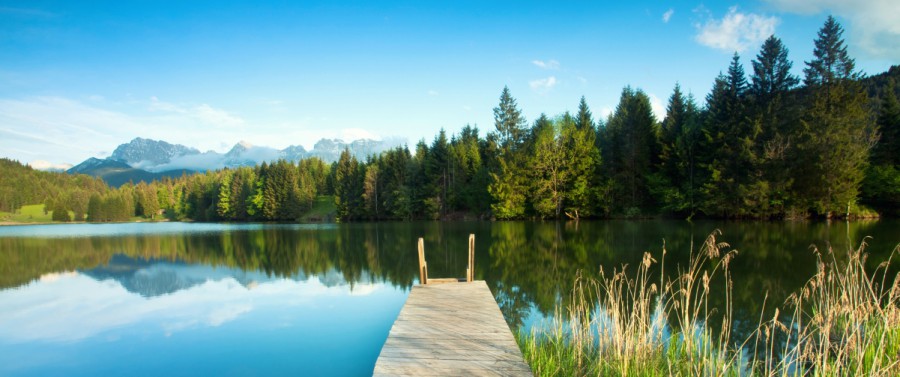 森林 公路 阳光 4k风景壁纸极品壁纸精选_极品壁纸