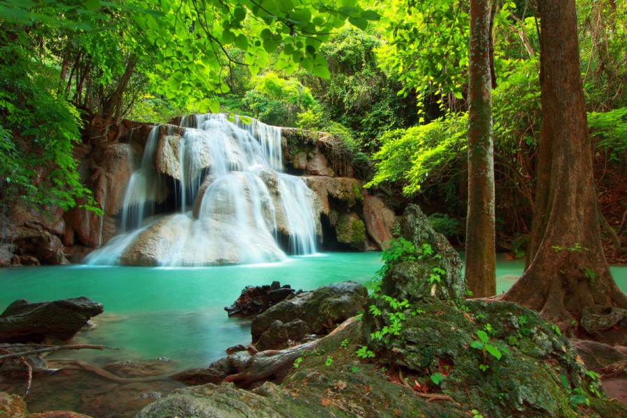 夜 森林 夜晚的天空 星空 4K风景超高清壁纸推荐_极品壁纸