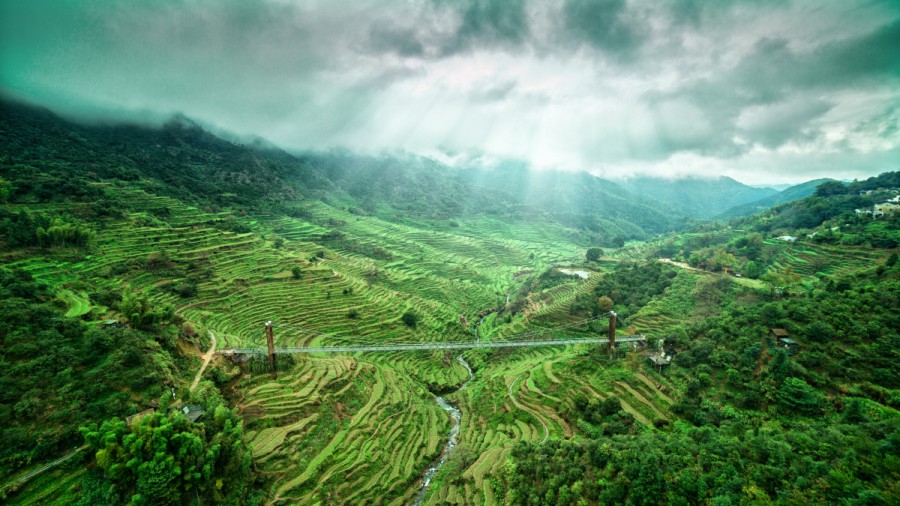 梯田桌面壁纸图片_4K桌面壁纸