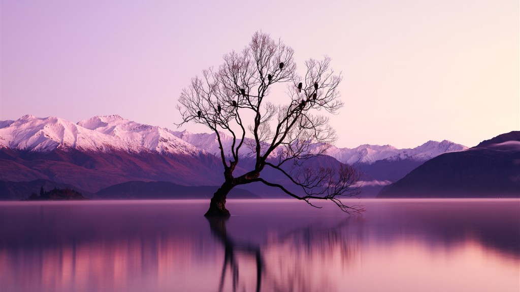 4K桌面壁纸图片,4K高清图片3840x2160_4K桌面壁纸